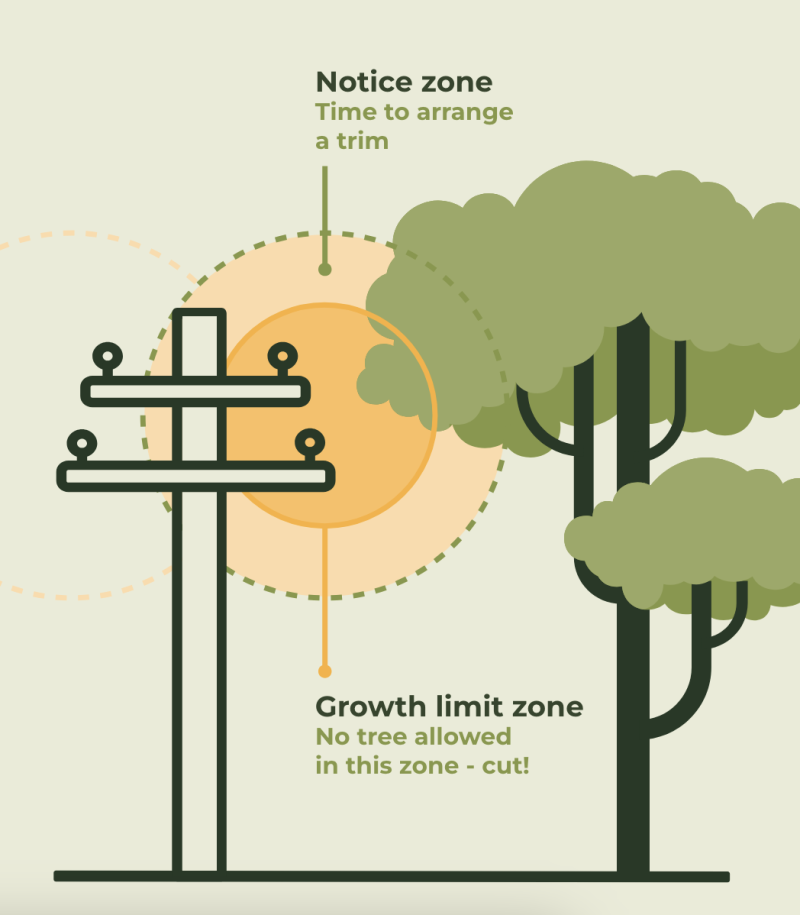 Trees and lines | Firstlight Network