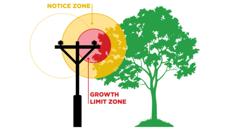 Trees and lines » Firstlight Network